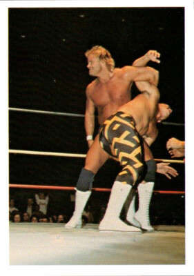 1988 Wonderama NWA Wrestling Card #60 Sweet Stan Lane vs. Sean Royal | eBay