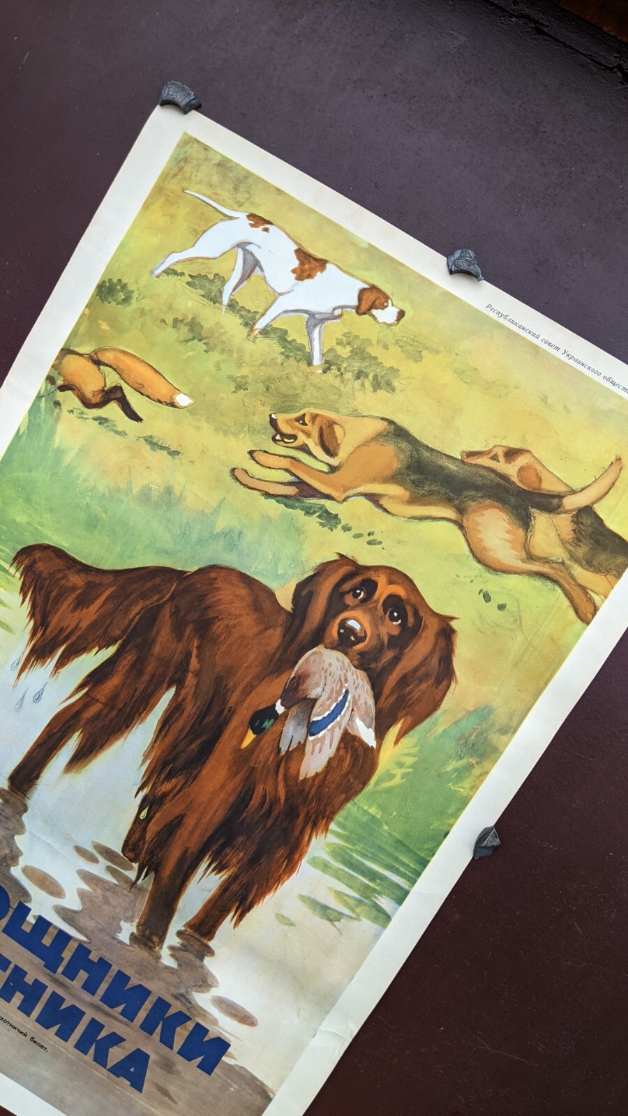 Original Poster Slogan --Hunting Dogs Hunter Helper-- BIG *1963 ...