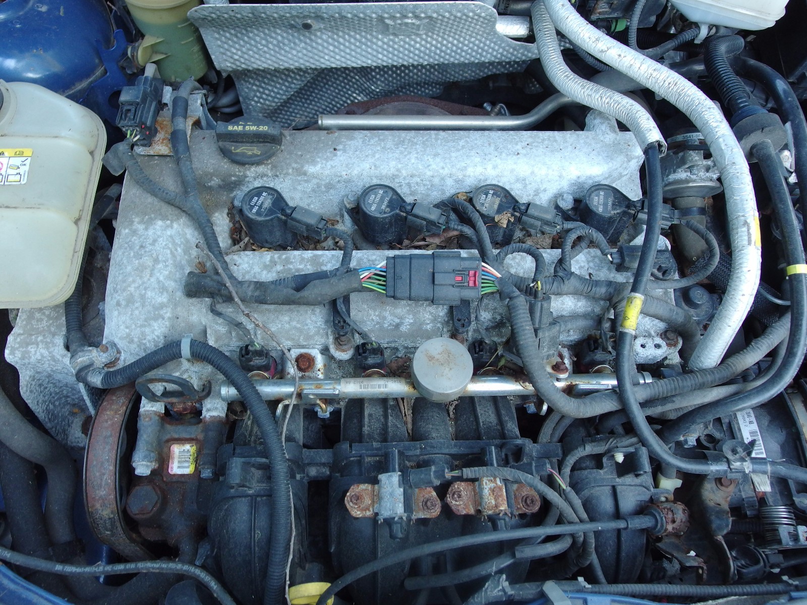 2004 ford focus ZTS 2004 FORD FOCUS ENGINE 2.0L VIN 3 8TH ...