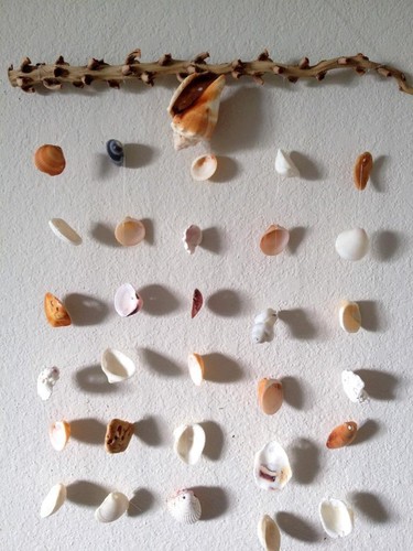 Nautical Shells Wind Chimes (#4) Palm tree Wood Conch Shell Nautical ...