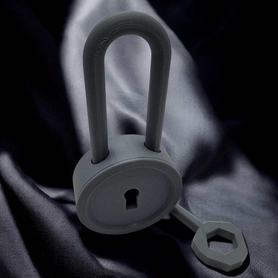 Hello Neighbor Toys - Single Lock and Key - Pretend Play | eBay