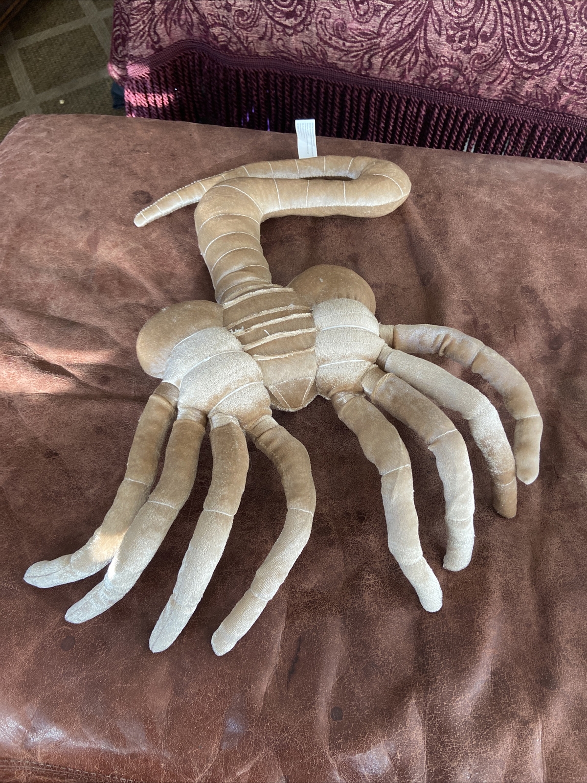 Xenomorph Facehugger