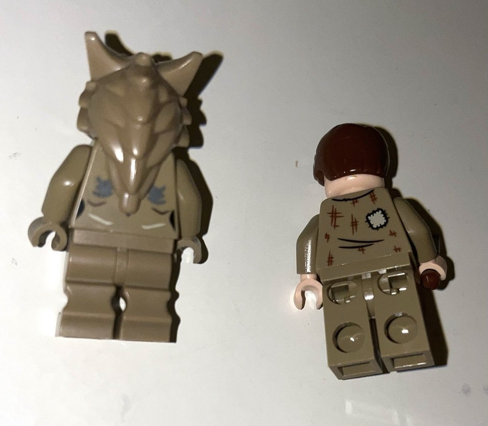 Lego 76407 Shrieking Shack Remus Lupin Animagus Werewolf Minifigures ...