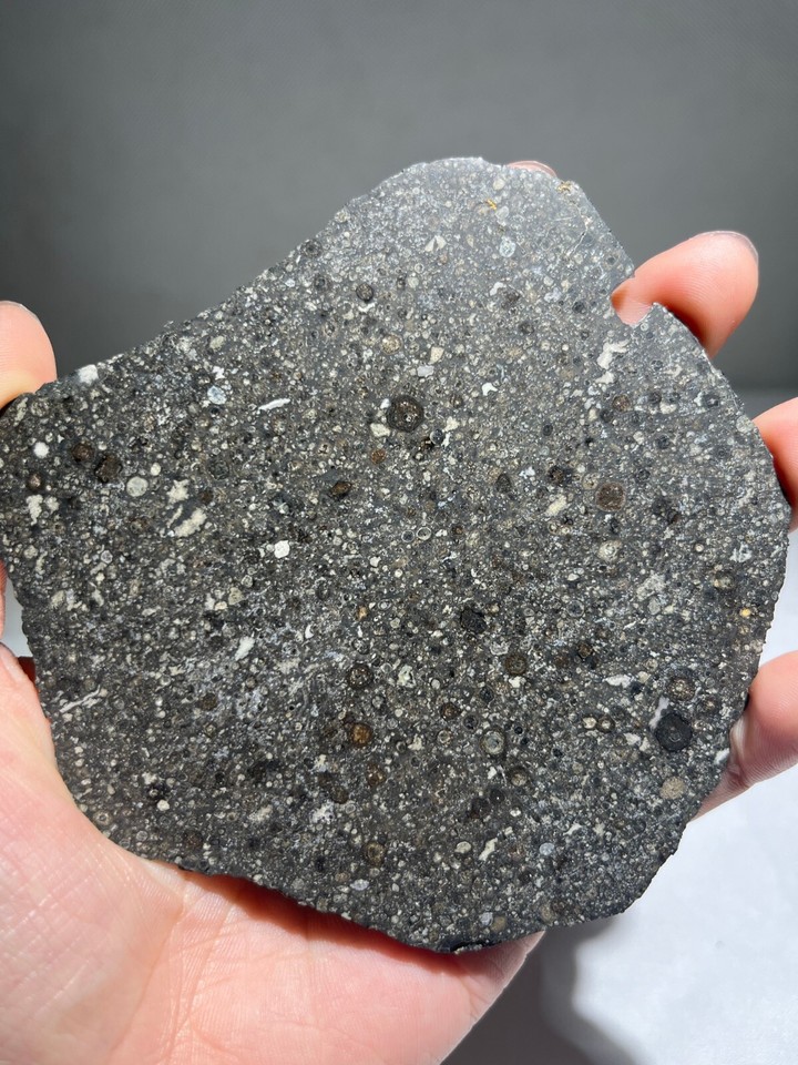 Allende CV3 Meteorite First meteorite with alien proteins Stone ...