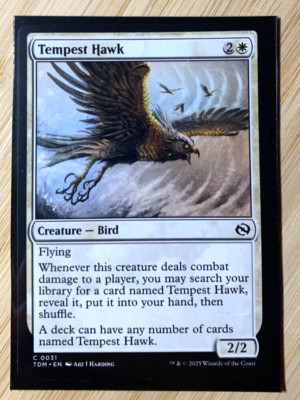 Tempest Hawk - Fantastic Condition - Tarkir: Dragonstorm Regular NM MTG ...