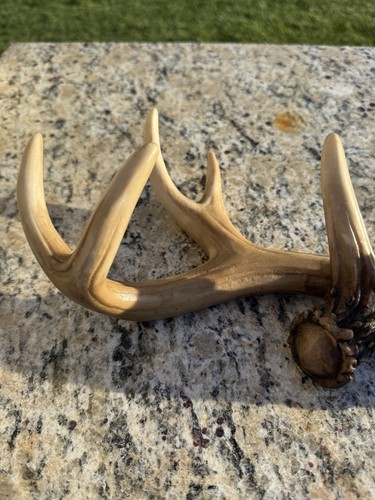 Rustic Hunter's 10 Point Stag Deer Antler Coat/Hat/Key Rack | eBay