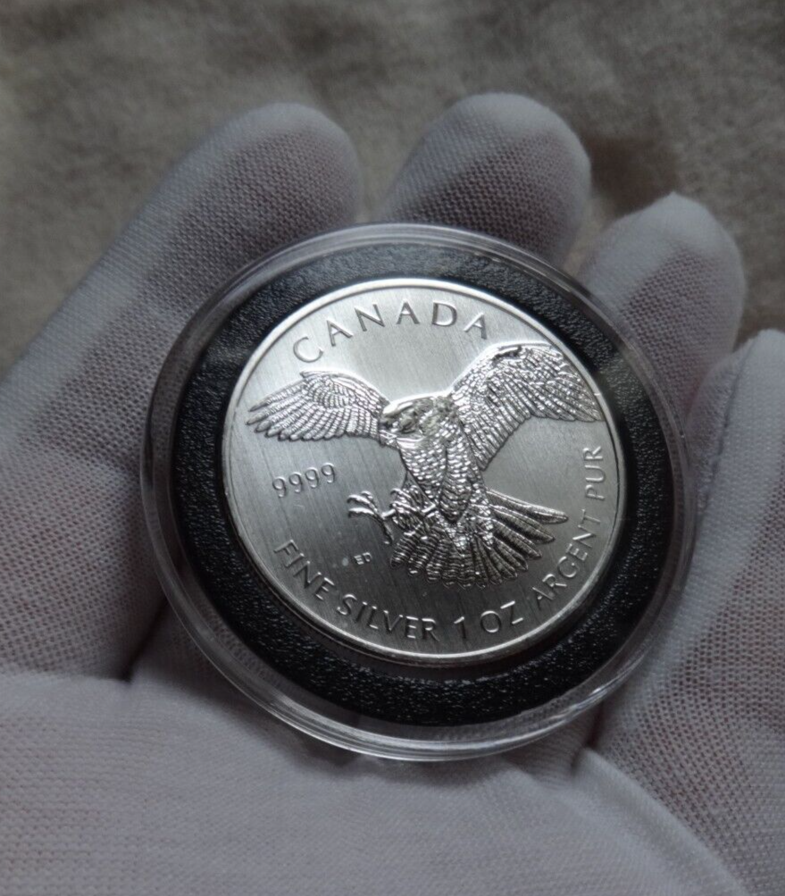 2014 Peregrine Falcon Birds of Prey Round Coin 1 Troy Oz .9999 Fine ...