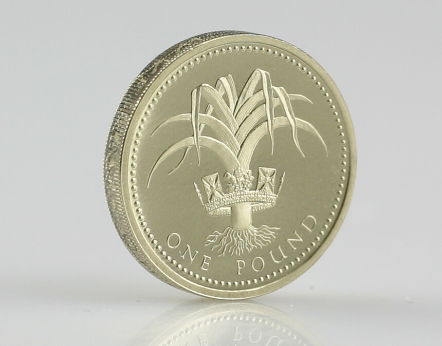 1983-2025 £1 One Pound Coins PROOF & BU Brilliant Uncirculated | MULTI ...