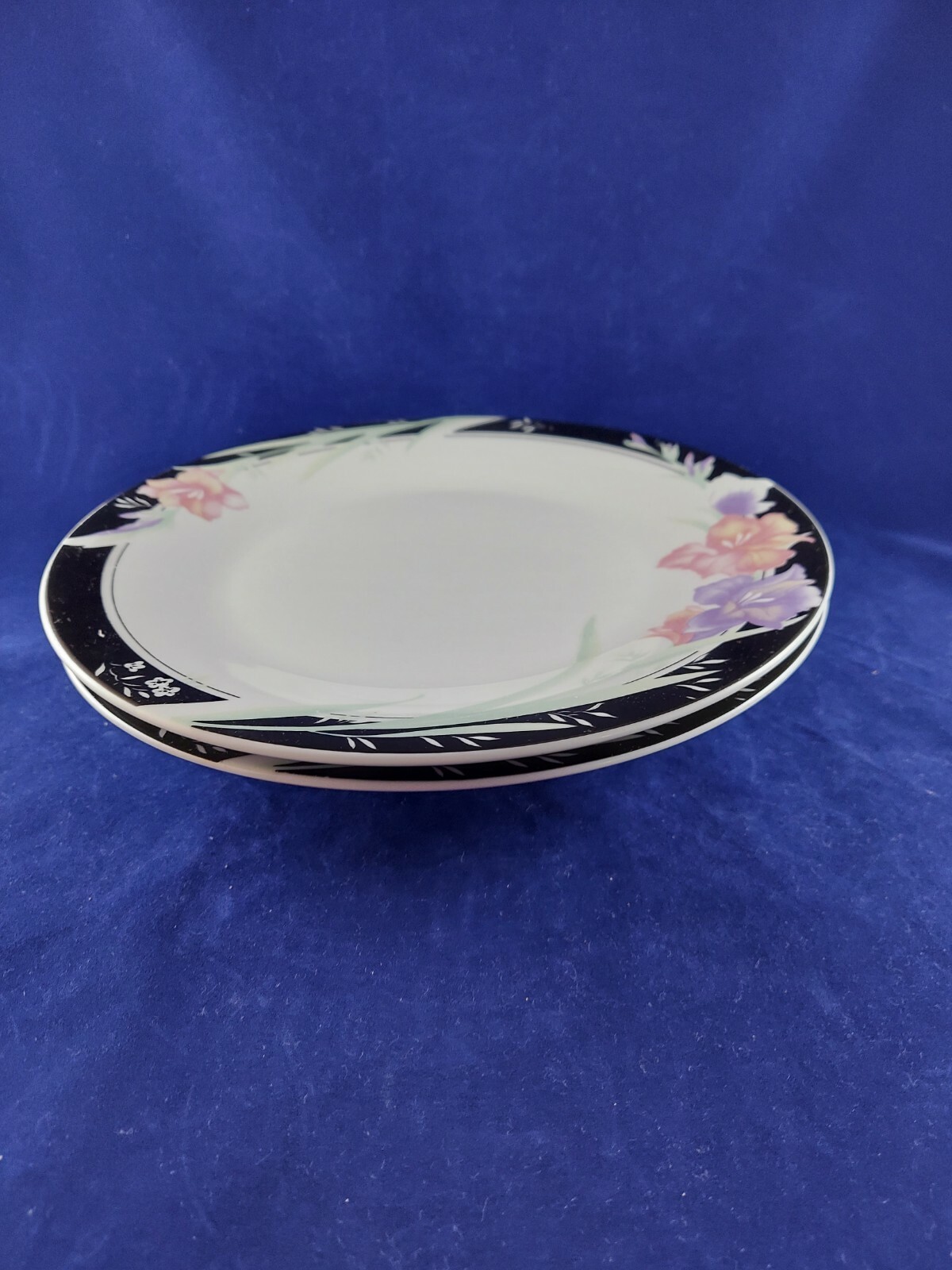 TRISA FINE PORCELAIN 98690B - 2 DINNER PLATES 10 5/8" DIAMETERS. GOOD ...