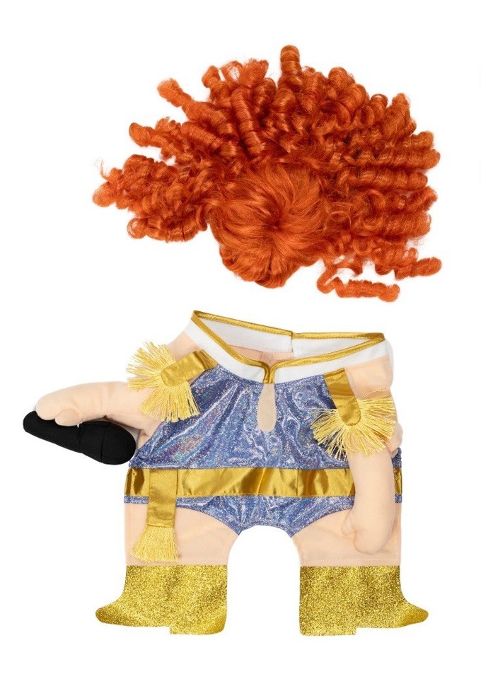 VIBRANT LIFE HALLOWEEN COSTUME FOR Poodle, Beagle DOG POP PRINCE Size S ...