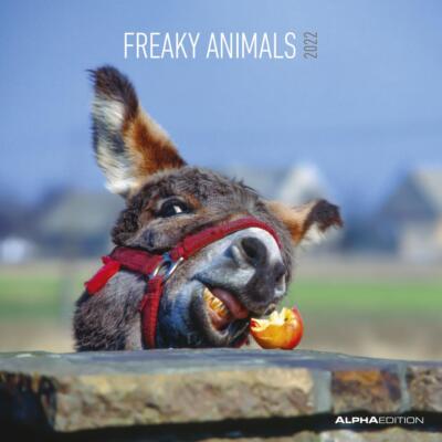 Freaky Animals 2022 - Broschürenkalender 30x30 cm (30x60 geöffnet ...