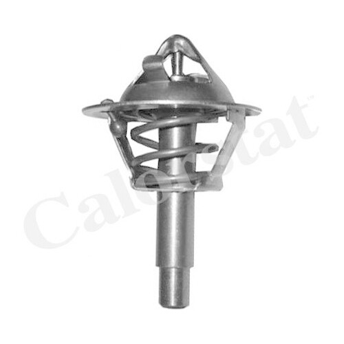 CALORSTAT by Vernet Thermostat, liqiuide de refroidissement pour TH6962 ...