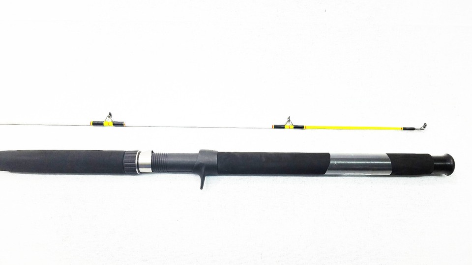 OL' WHISKERS CATFISH 10' CASTING ROD OWS-102T W/ GLOW TIP | eBay