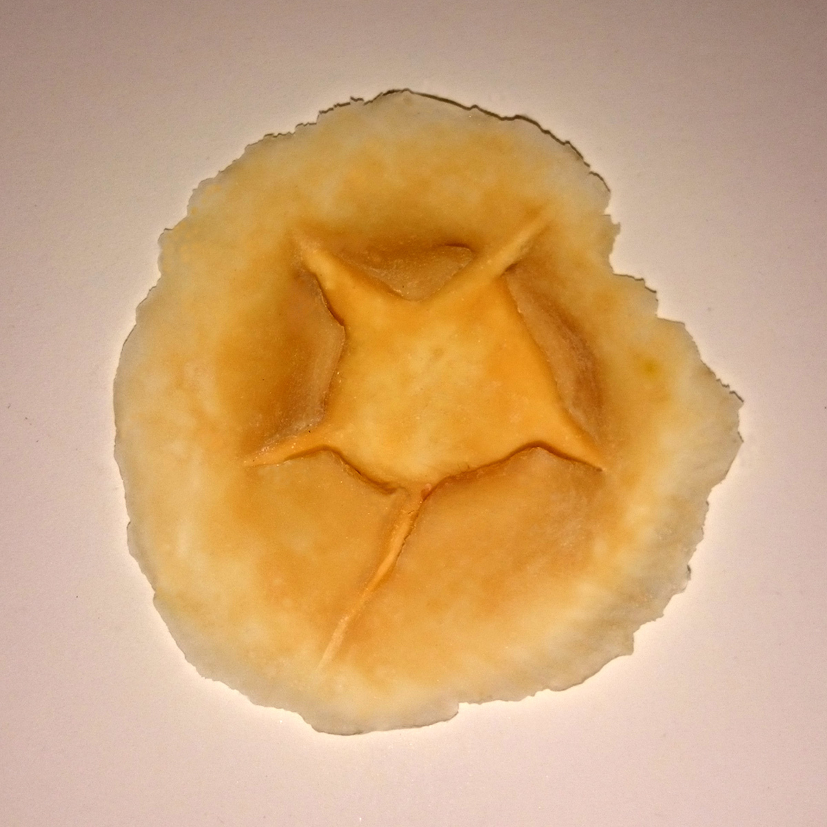 hole wound #1 Deep & detailed latex scar prosthetic bullet stigmata ...