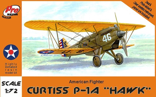 1/72 Curtiss P-1A Hawk US Army Fighter Aircraft Model Kit - Pro Resin ...