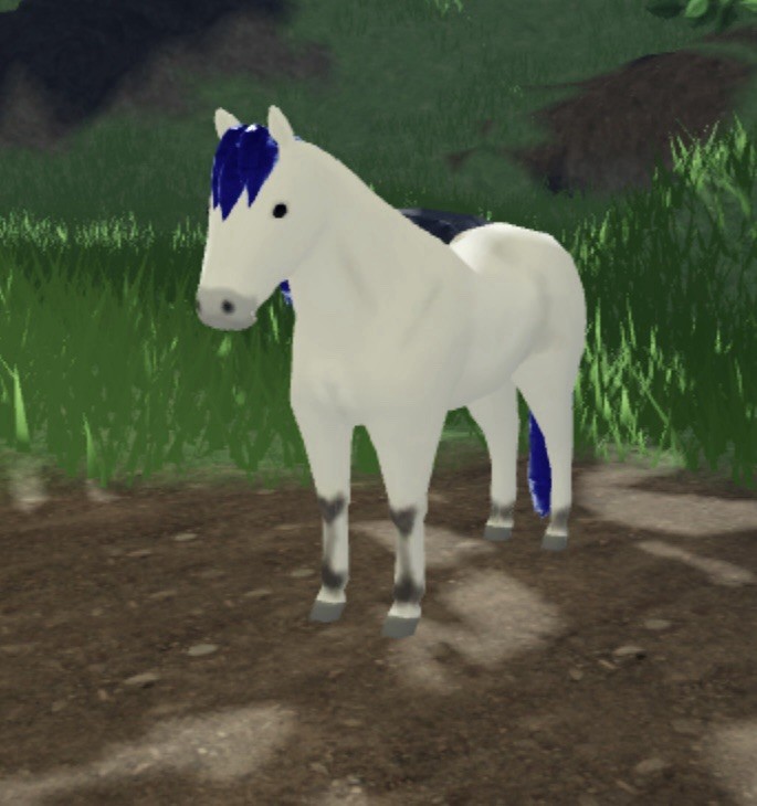 Wild Horse Islands 🌸 IUH Ulsblakk Fjord Sapphire Rare Coat 🌸 | eBay