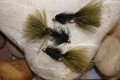 Bachforellen Kaufen | eBay