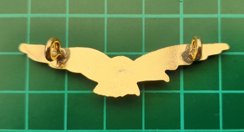 Anodised RAF Eagle Sleeve Badge BB-267 | eBay UK