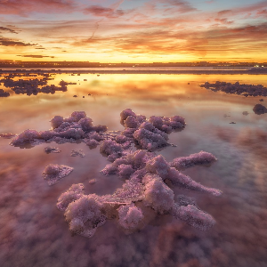 Crafts&ClothingbyAllie | eBay Australia Stores