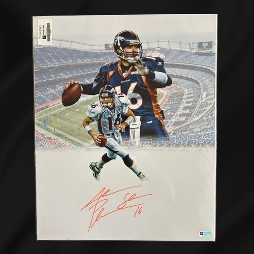 Jake Plummer Broncos autographed 16x20in print | eBay