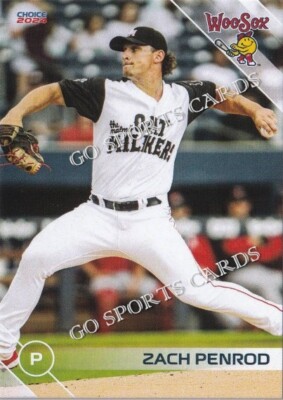 2024 Worcester Red Sox Zach Penrod RC Rookie Boston Minor Card | eBay