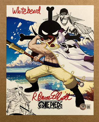 R. Bruce Elliott Signed 8x10 Photo - One Piece Anime - Beckett COA ...