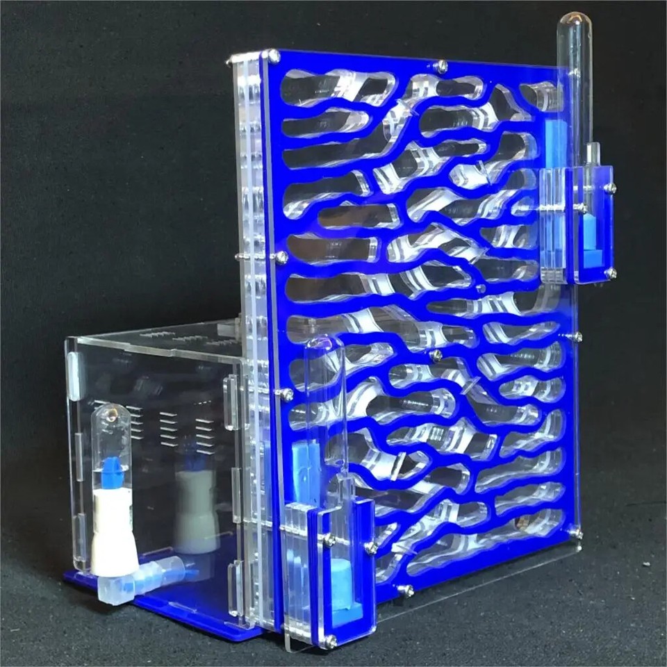 Large Acrylic Ant Farm with Feeding Area Big Ants House Nest Villa Pet ...