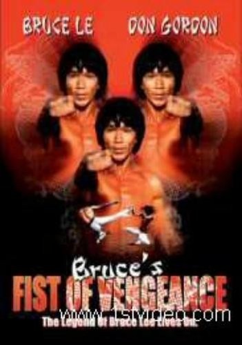 Bruce's Fist of Vengeance (DVD) Romano Kristoff Don Gordon Jack Lee ...