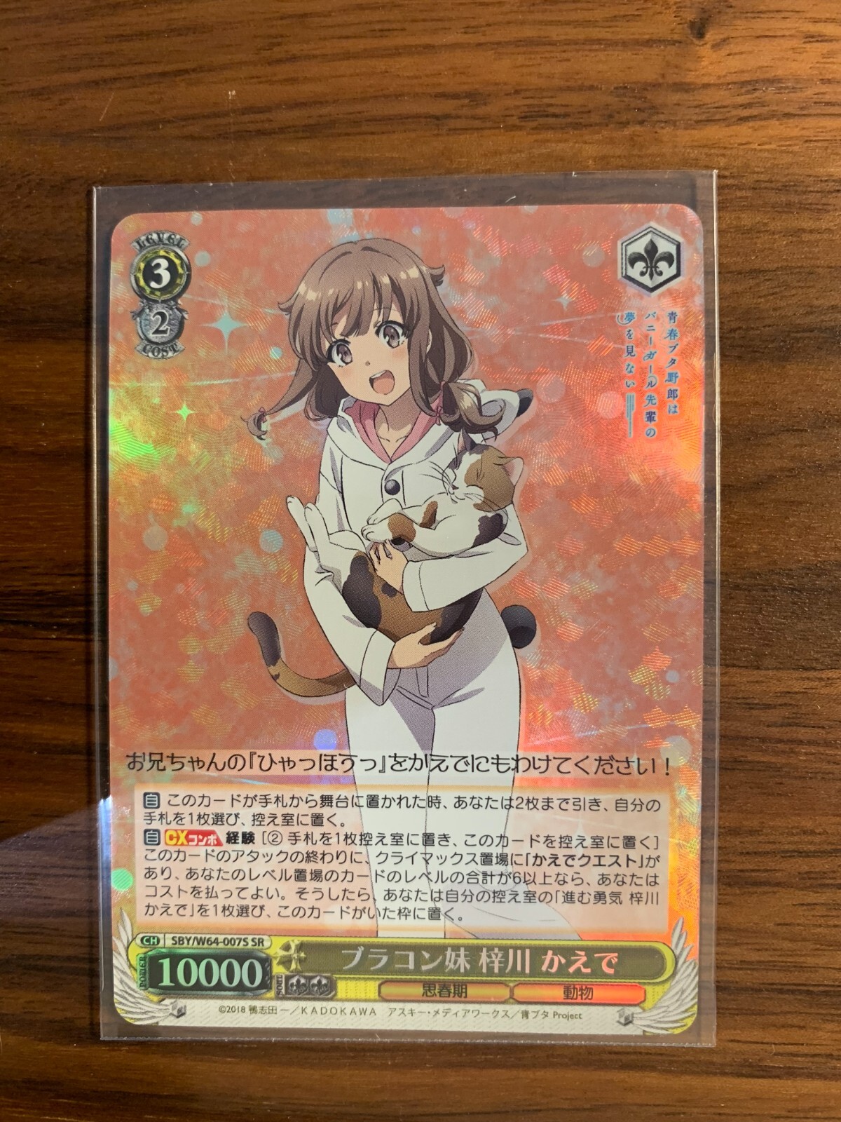 Sister With Brother Complex Manga