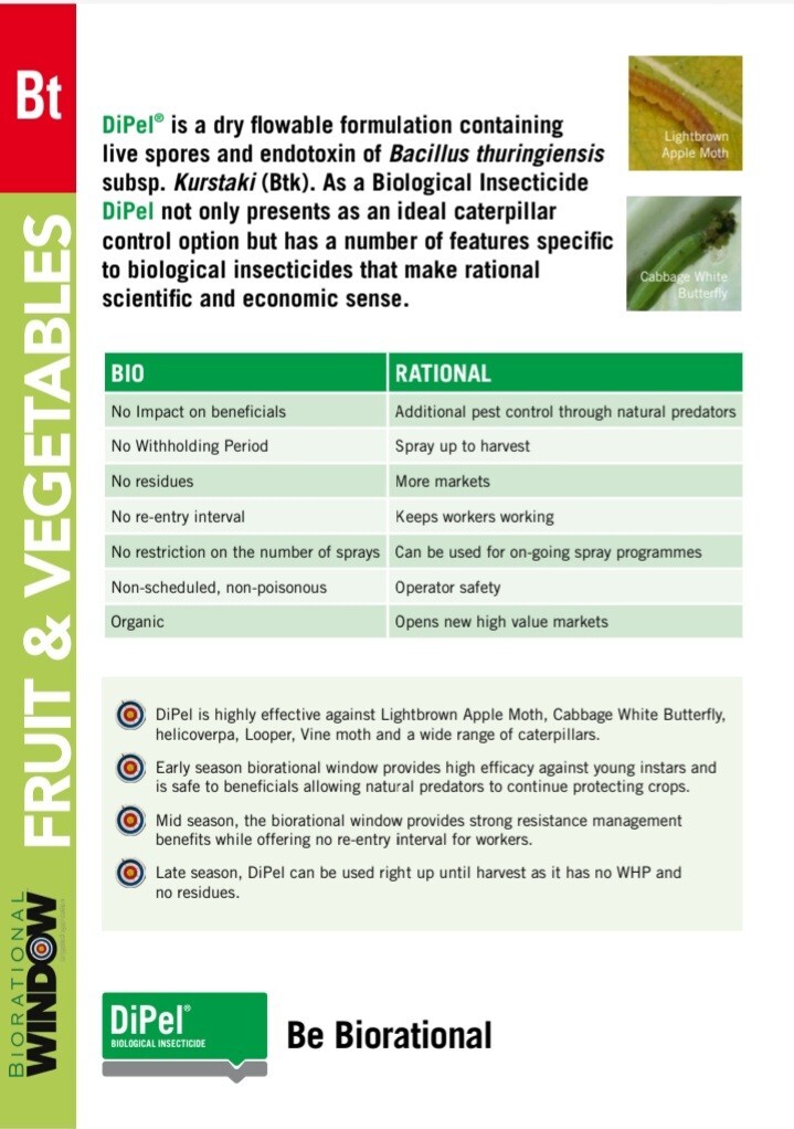 BT Spray (Bacillus Thuringiensis) Organic Bio Spray. 50g soluble ...