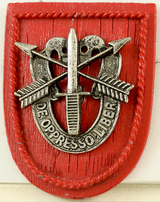 1st Special Forces Crest DI/DUI Pinback | eBay