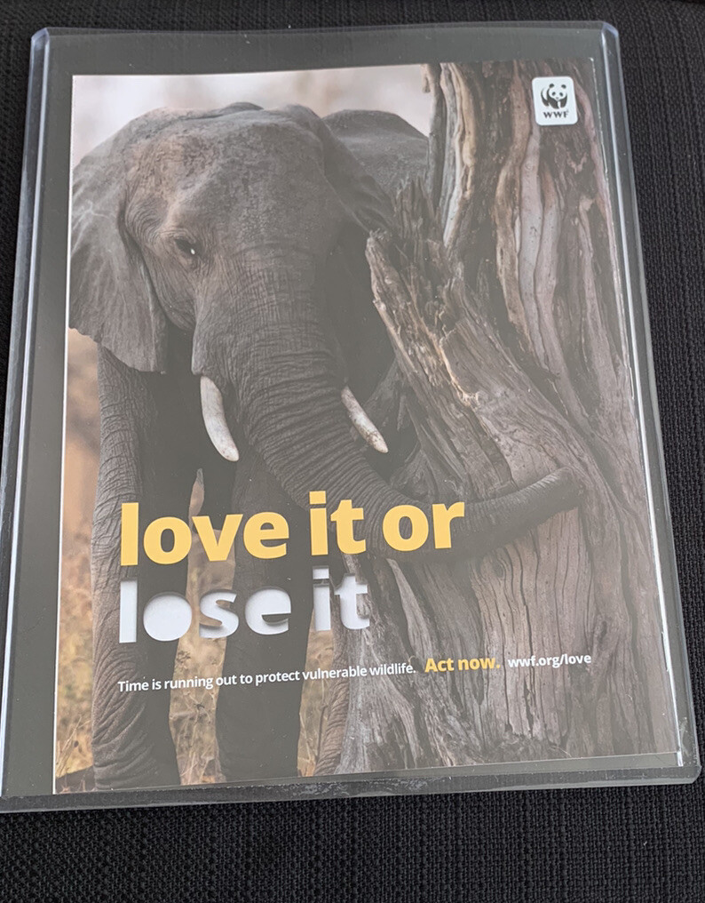 Ken Walker Rookie 2022 JanFeb Sports Illustrated Si for Kids Timme Full ...