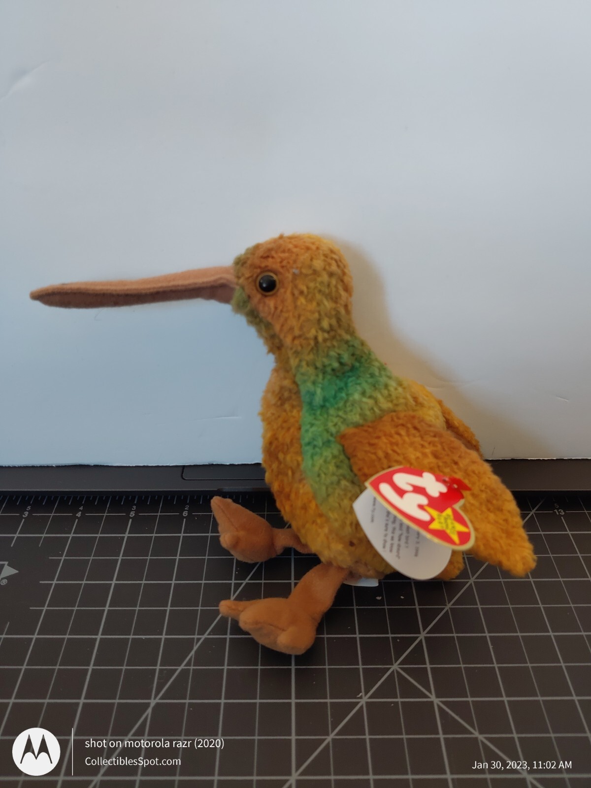 TY Beanie Babies - Beak - Mint Condition with Hang Tags - 1998 | eBay