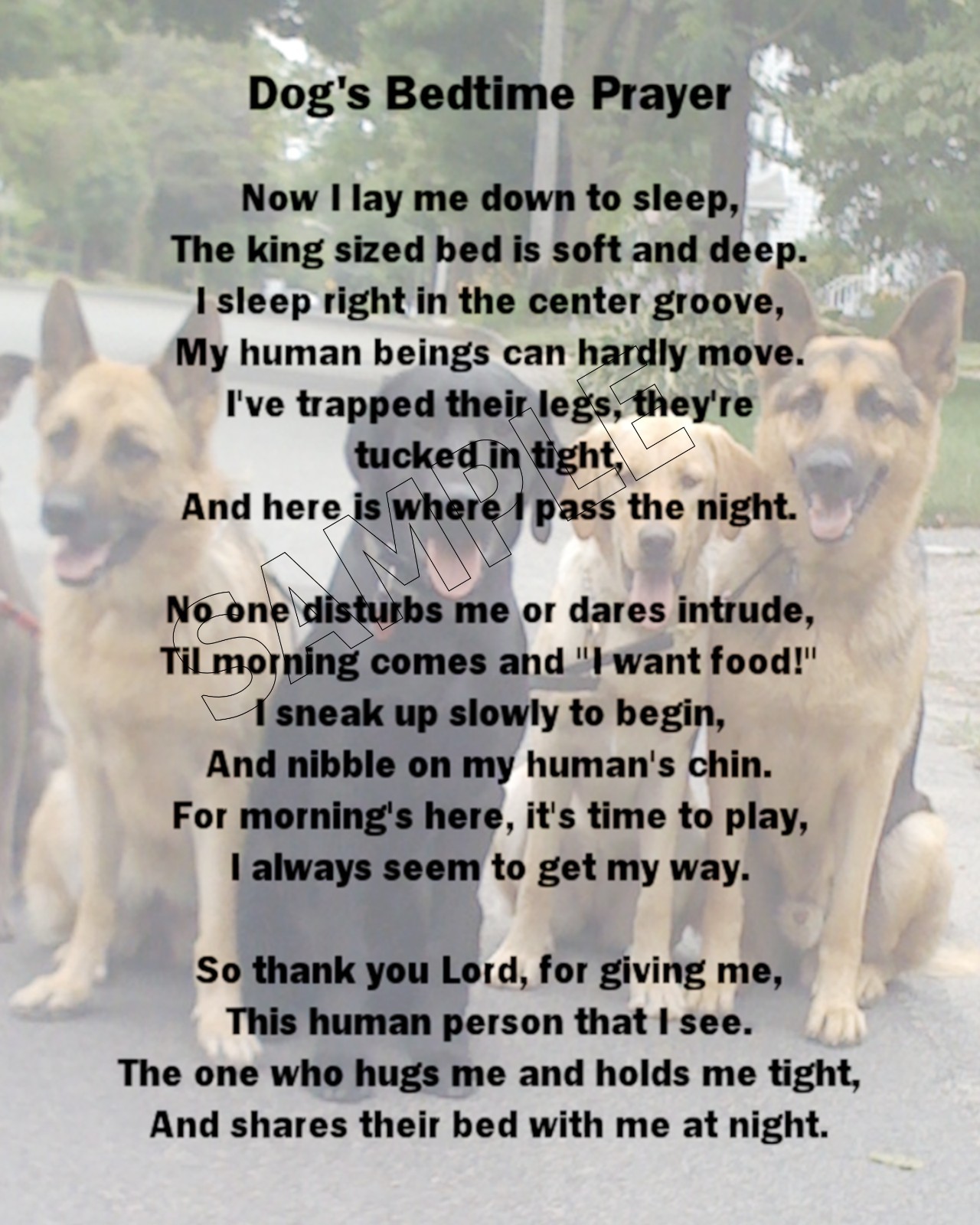 DOG'S BEDTIME PRAYER POEM IMAGE PRINT | eBay