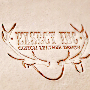 EXSECT INC | eBay Stores