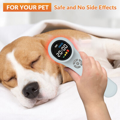 Household PBM Laser Device for Bone Regeneration Laser Therapy Device ...