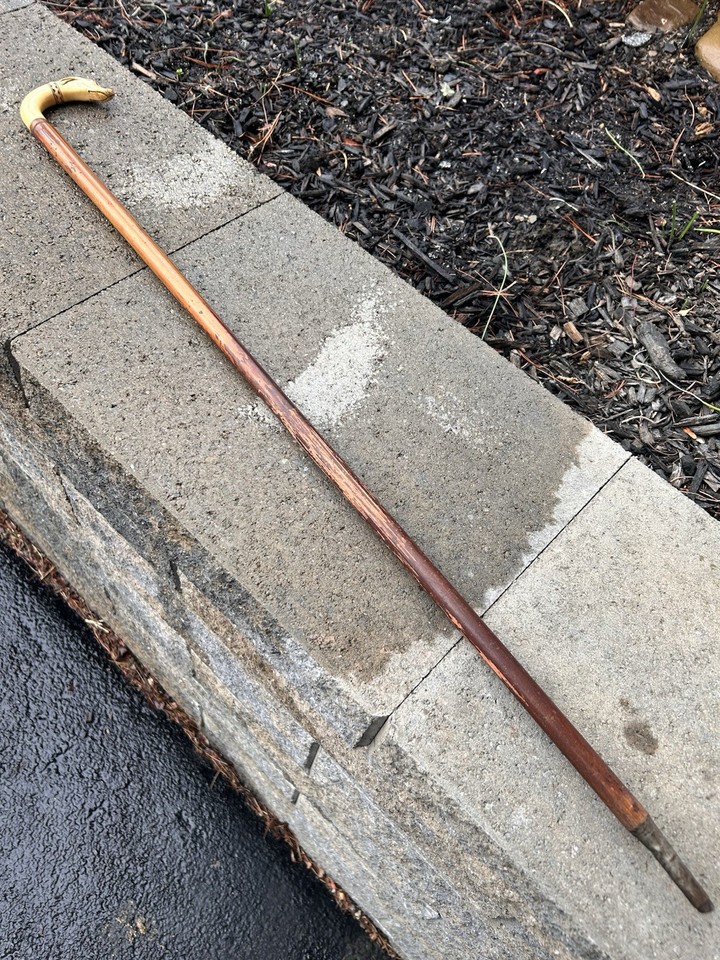 Antique Barnabas Collins Dark Shadows Vampire Walking Stick Cane | eBay