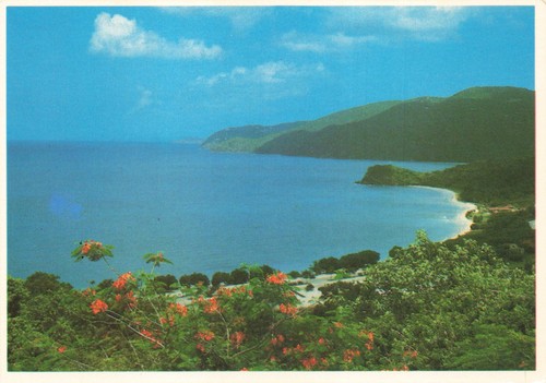 Postcard Virgin Islands St. Thomas Beach Surf Sun College Brewers Bay ...