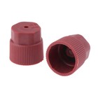 10Pcs Red AC Caps with Blue AC Caps Charging Service Parts 13mm R134a ...
