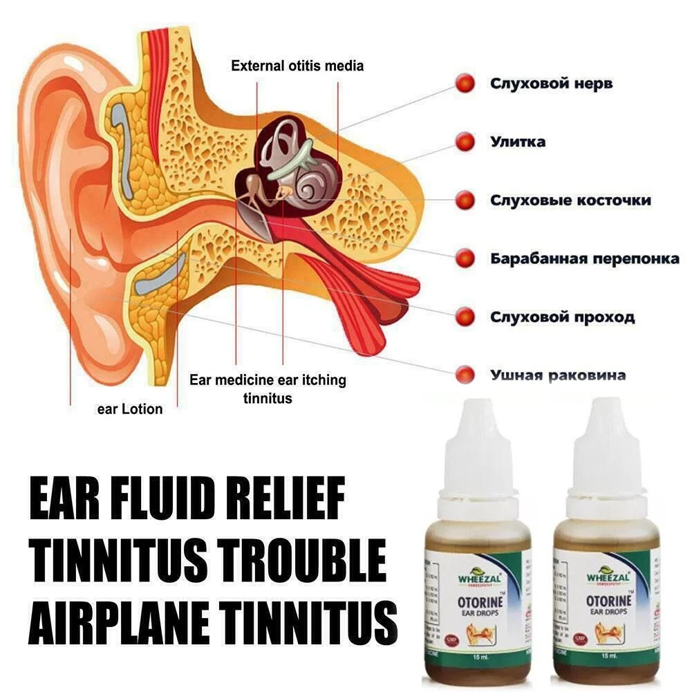 Healthy Eardrum