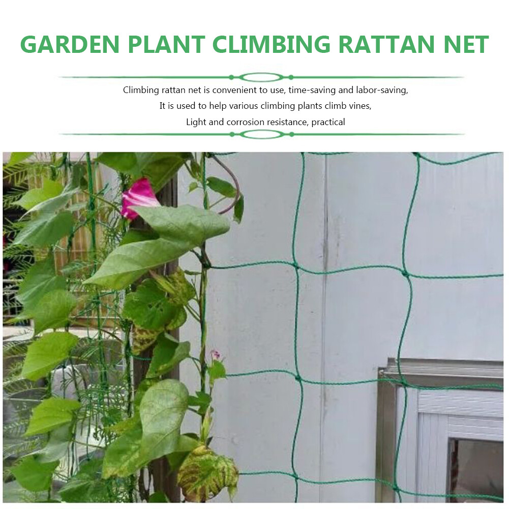 Lattice Net Ornaments Plant Support Net for Cucumbers Watermelons (1.8 ...