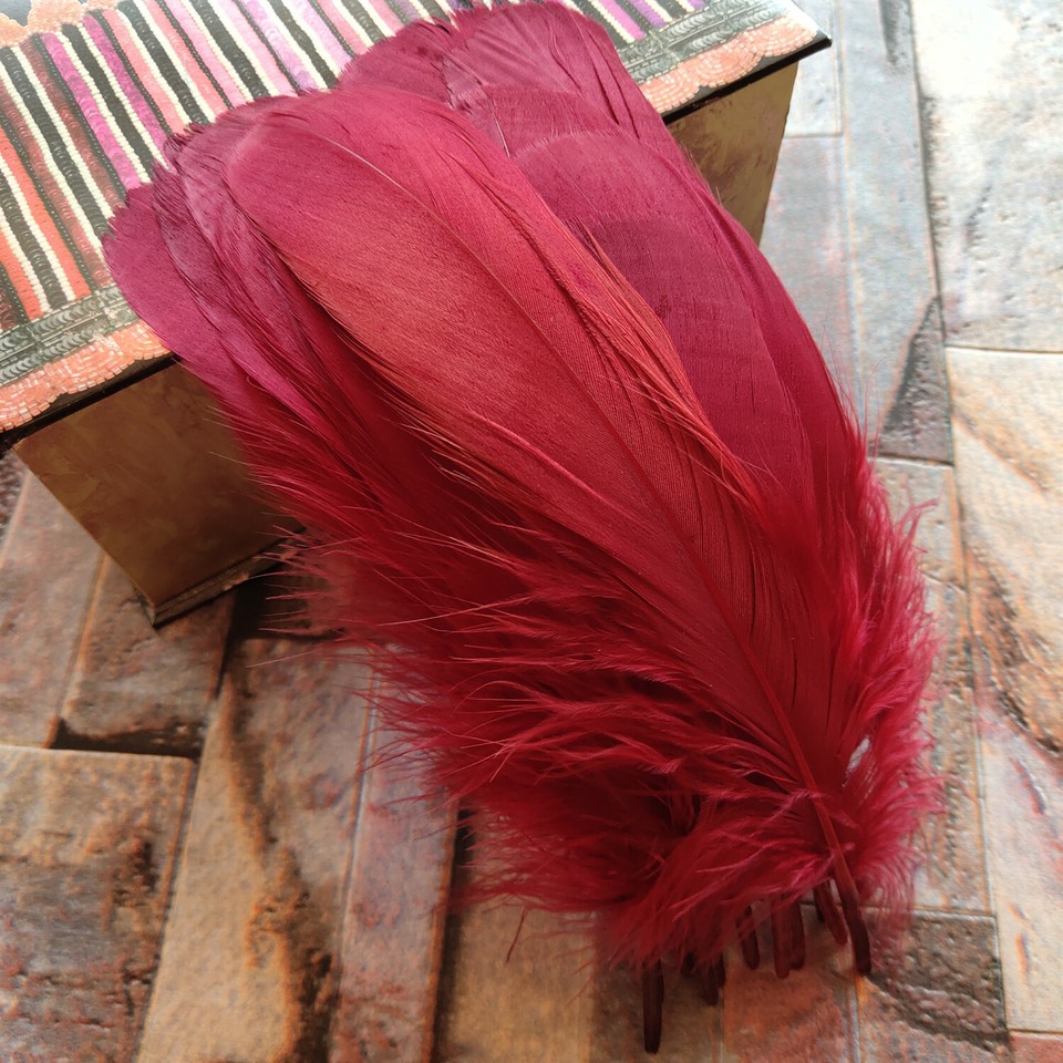 Wholesale 20-100 Pcs Pretty Natural Goose Feathers 12-18 cm/5-7 inches ...