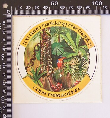 VINTAGE CAPE TRIBULATION NORTH QLD TRAVEL SOUVENIR CAR CARAVAN LUGGAGE ...