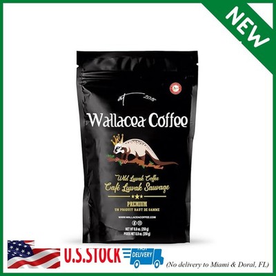 Wallacea Coffee Certified Wild Kopi Luwak Coffee Beans, Civet Coffee ...
