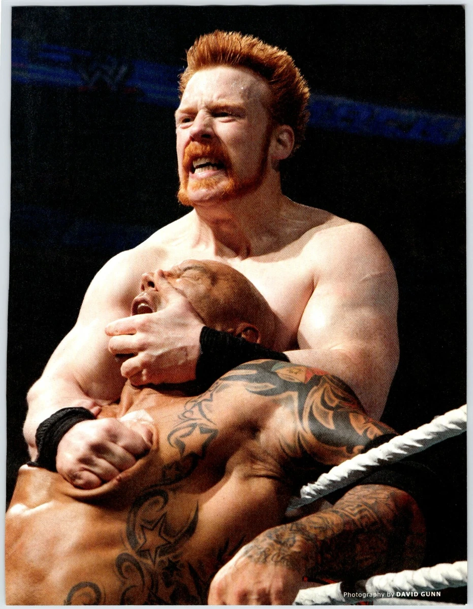 Sheamus 2006