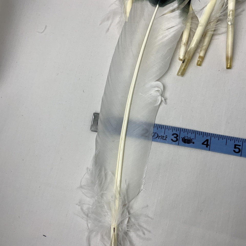 Dyed Black Tipped & Plain Turkey Wing Quill Imitation Eagle Feather Lot ...