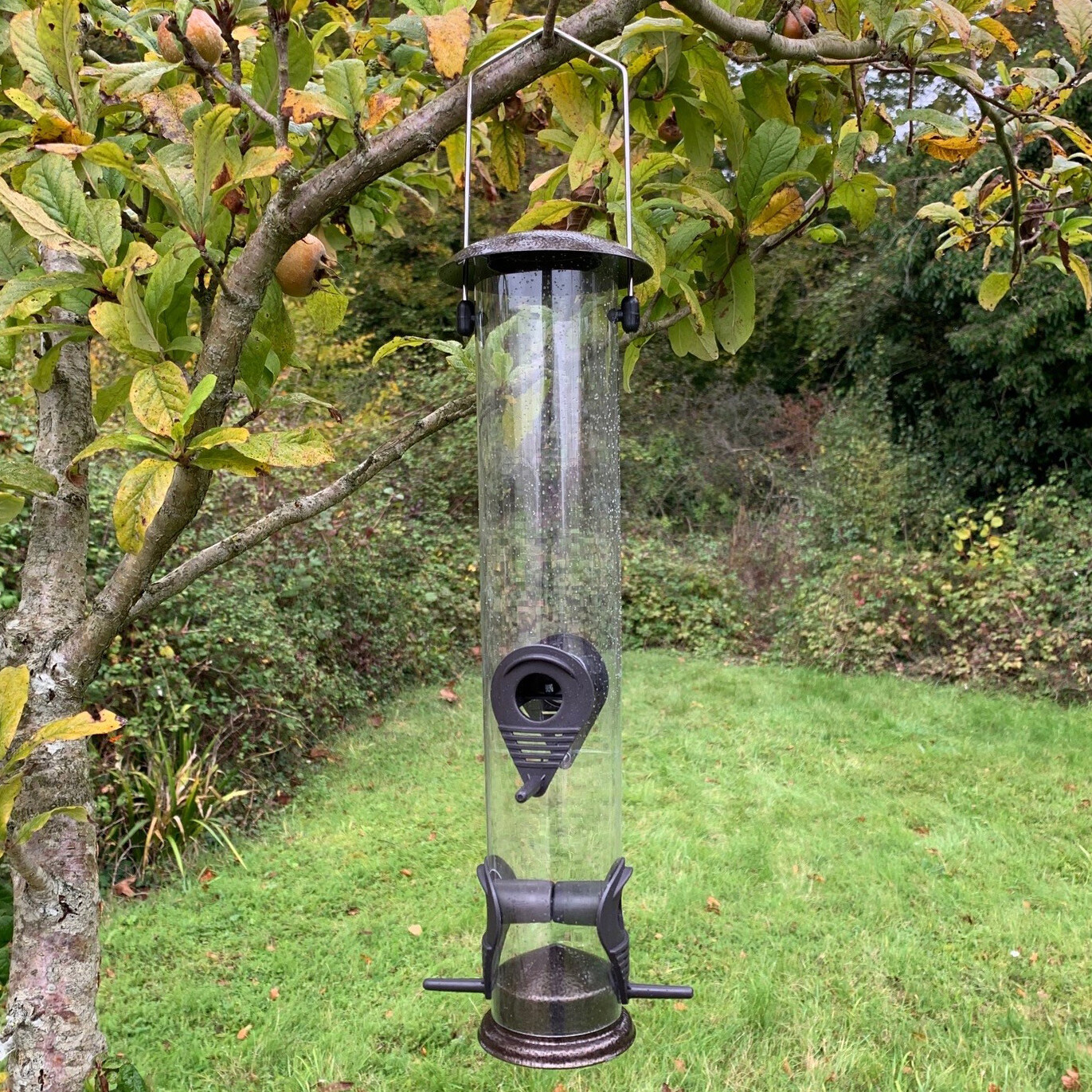 Complete Bird Feeding Stations Stand Feeder Tree Wild Garden Birds ...