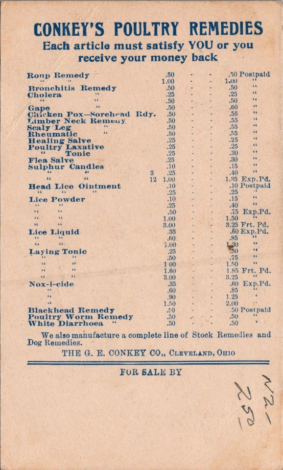 Conkey Will Cure Me Poultry Remedies Anthropomorphic Sad Sick Chicken ...
