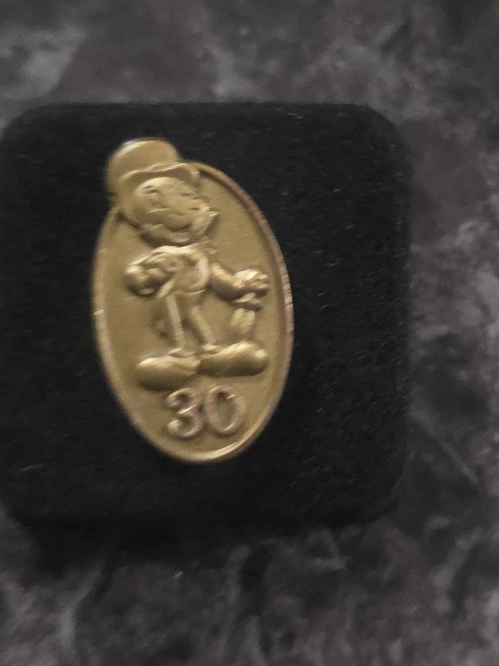Disney Cast Member Service Award 1, 5 10, 15, 20, 15 ,30 Year Pin Lot ...