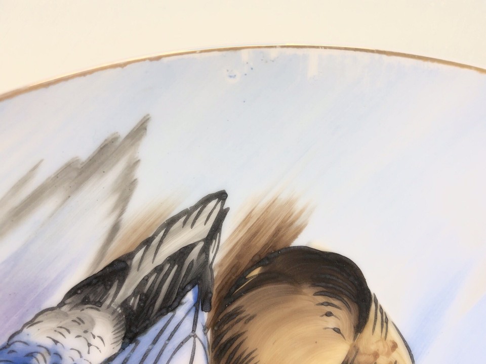 Redhead Ducks Loons Geese Mallards Decorative Plate Painted Plate | eBay